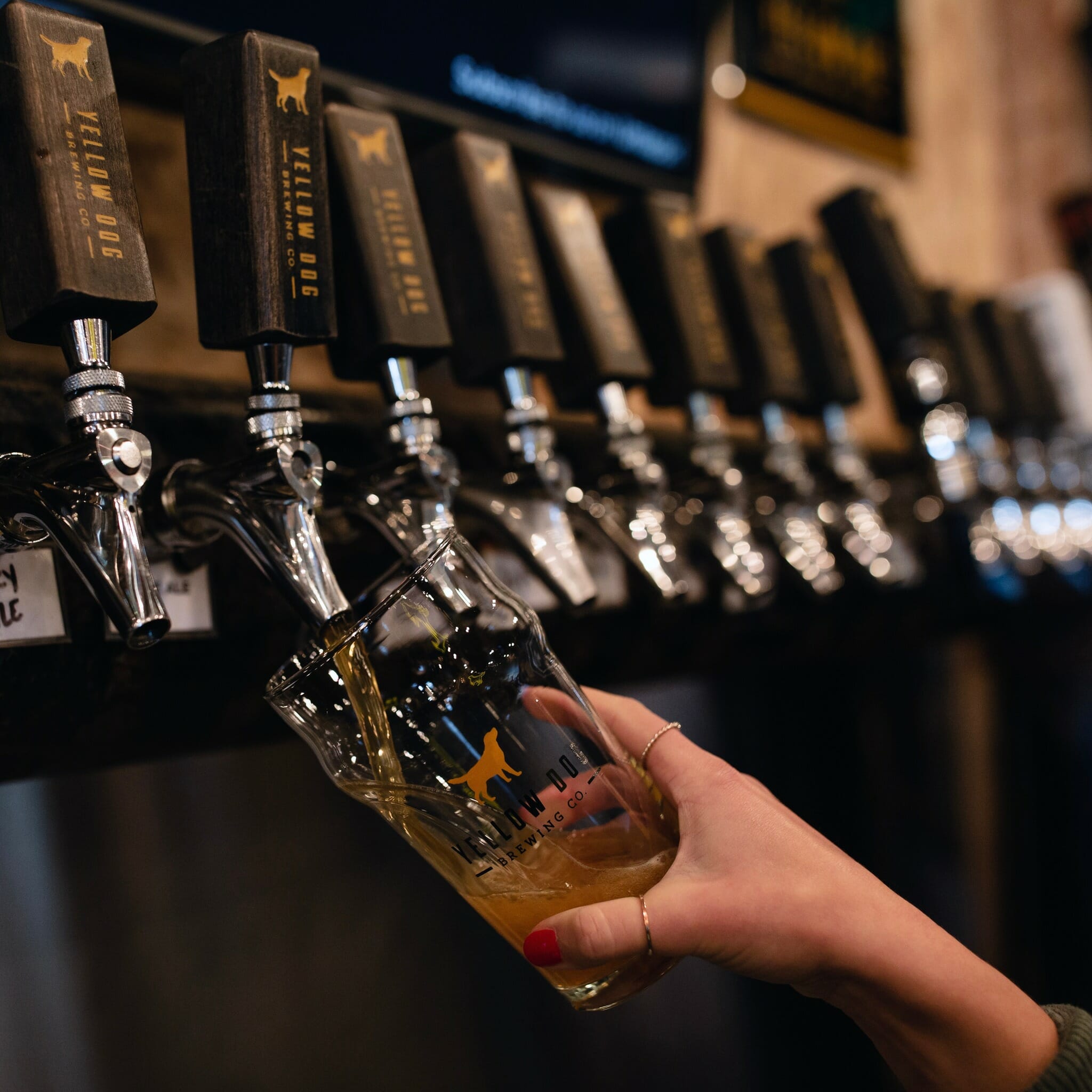 Yellow Dog Brewing · The BC Ale Trail